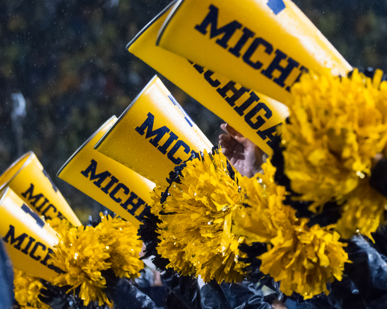 Breaking Out in Song | History of Michigan Football fans singing ...